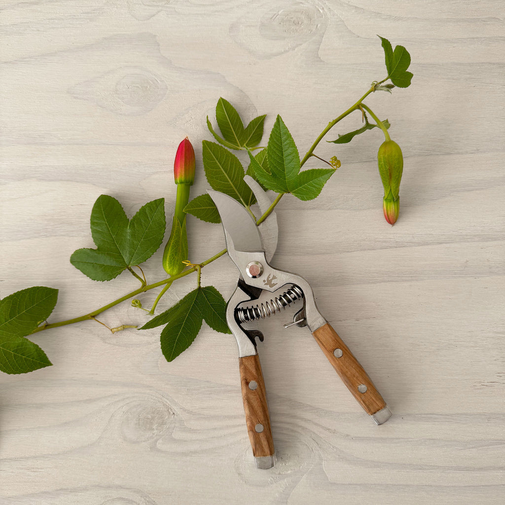 Ash Wood Secateurs – FLOWERLAND